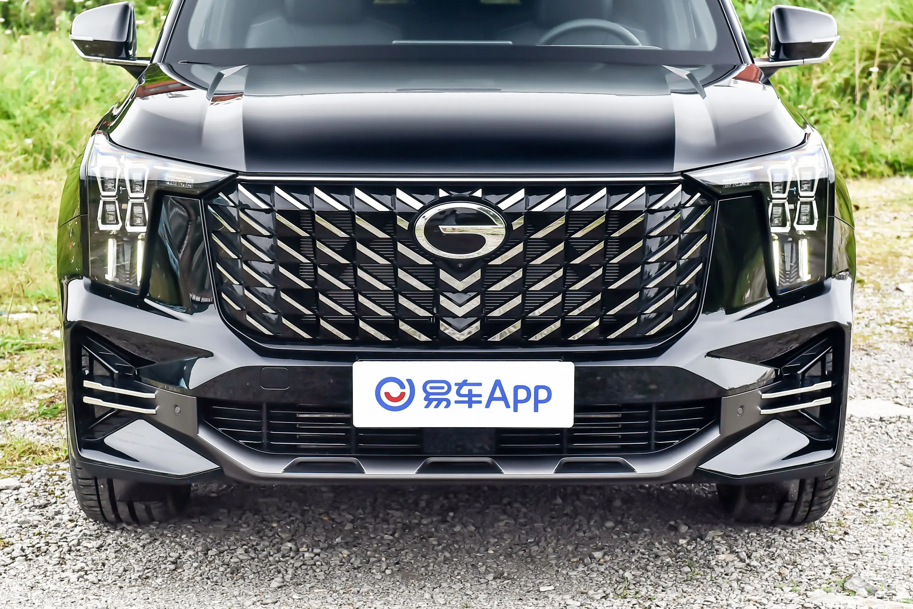 【传祺GS8领航系列 2.0T 两驱豪华版 5座外观细节图片-汽车图片大全】-易车